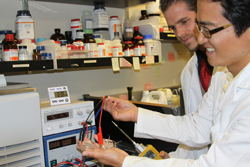 HWzone - מריחים את המהפיכה